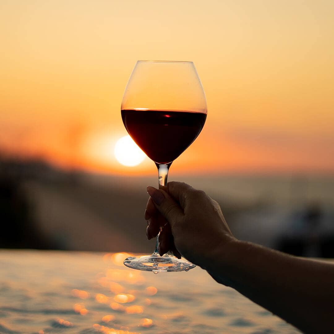 A closer look at New World Wines from Argentina, Chile, and South Afri